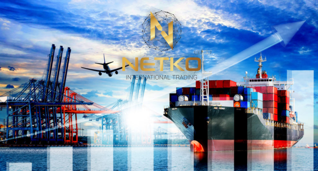 Home Page - Netko International